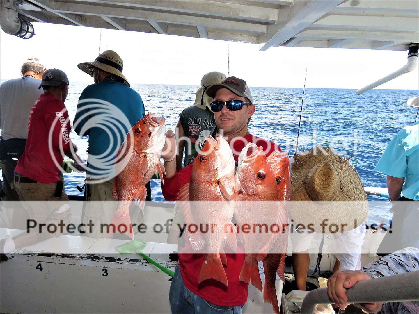 Limiting Out on American Red Snapper | Bloodydecks