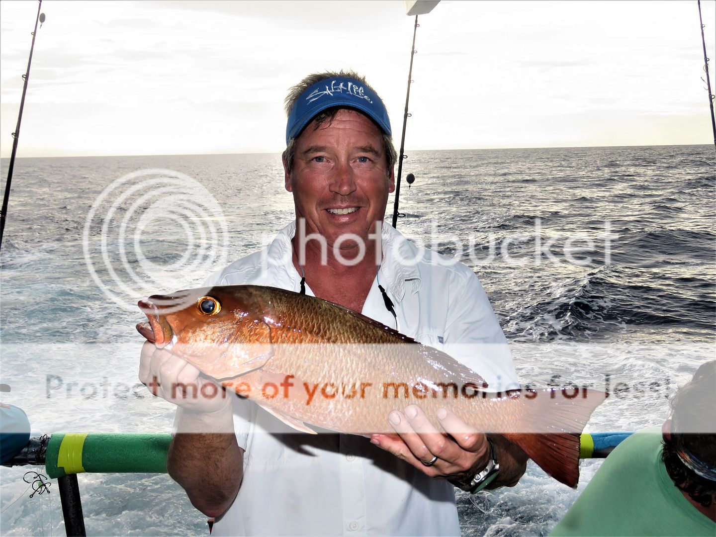 Limiting Out on American Red Snapper | Bloodydecks