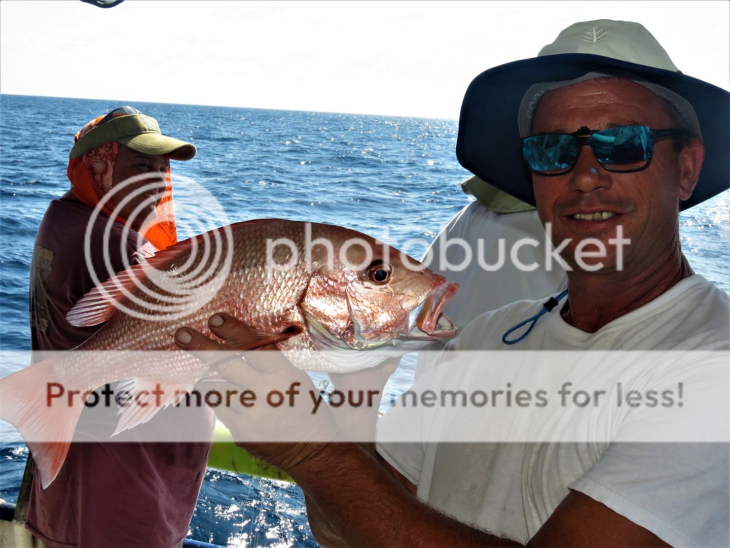 Targeting Grouper And Snapper | Bloodydecks