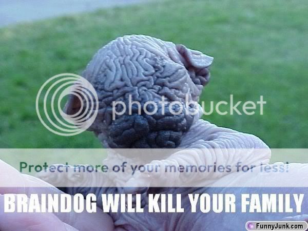 Picture Association | Page 426 | Sherdog Forums | UFC, MMA & Boxing ...