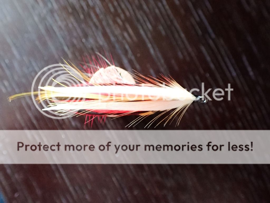 Skagit Storm | Spey Pages